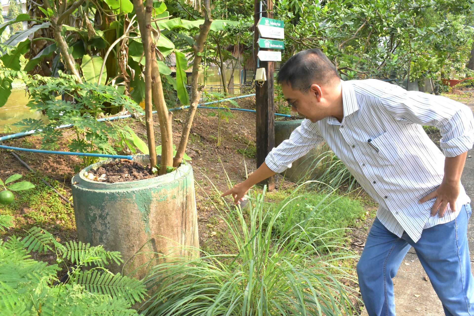 DSC_0799 | มูลนิธิสัมมาชีพ